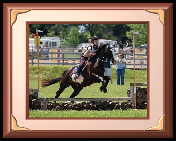 Sunset Ridge Stables Caledonia, IL