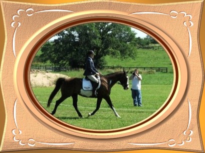 Sunset Ridge Stables Caledonia, IL