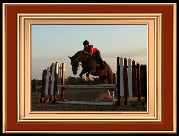 Sunset Ridge Stables Caledonia, IL
