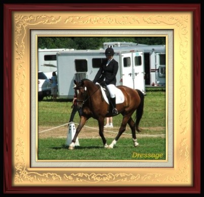 Sunset Ridge Stables Caledonia, IL