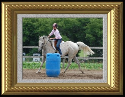 Sunset Ridge Stables Caledonia, IL