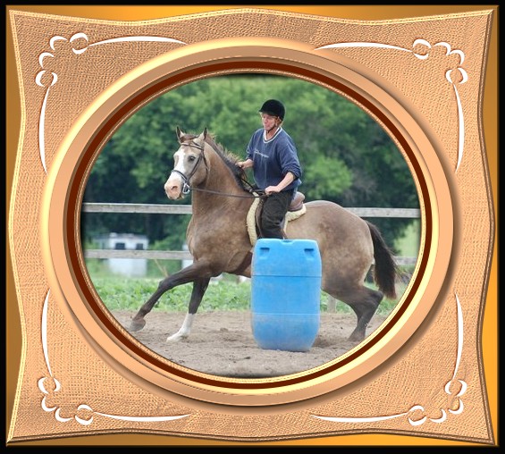 Sunset Ridge Stables Caledonia, IL