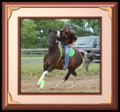 Sunset Ridge Stables Caledonia, IL