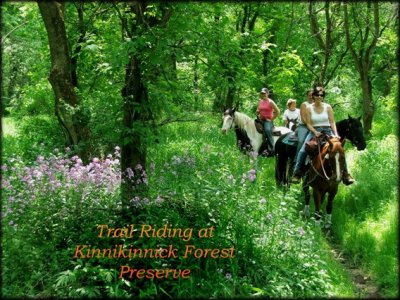 Sunset Ridge Stables Caledonia, IL