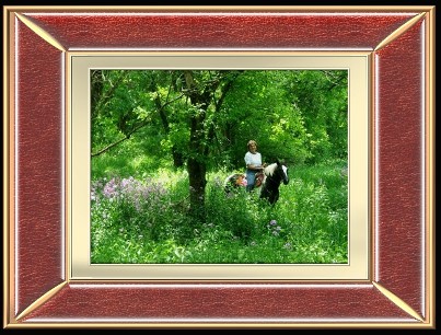 Sunset Ridge Stables Caledonia, IL